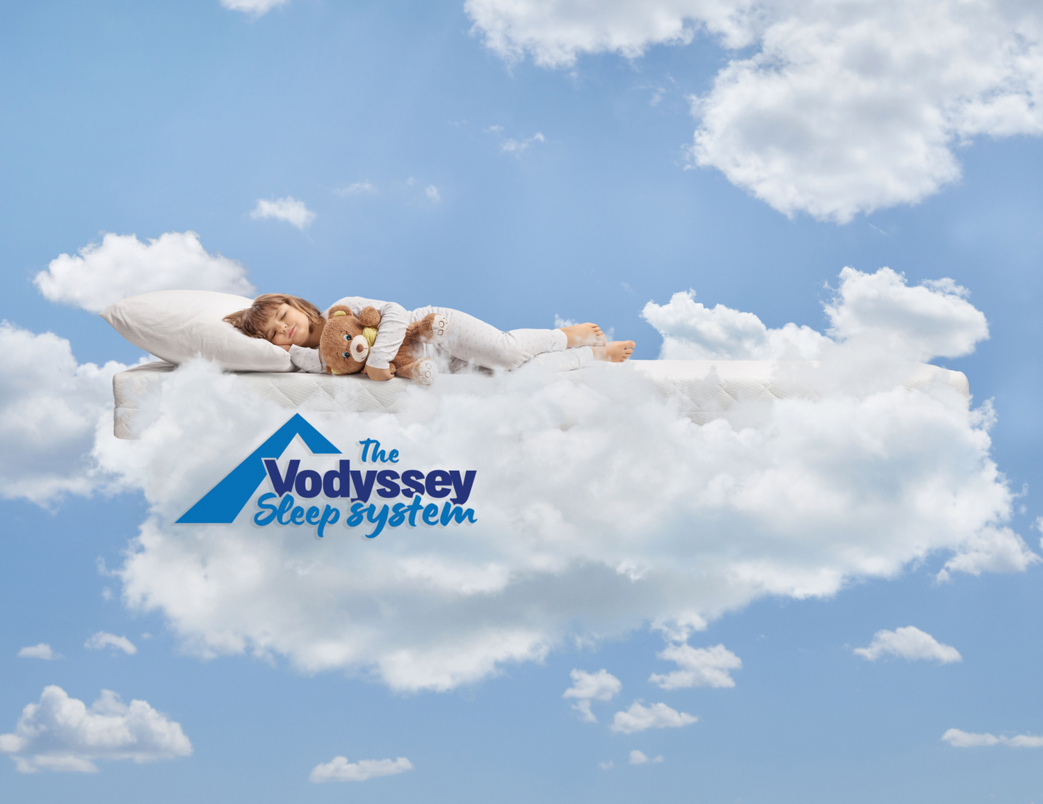 WYN Interior Development Group